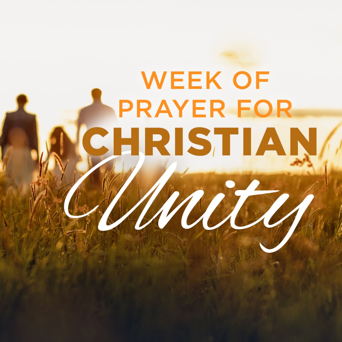 Diocese of Portland | Home
